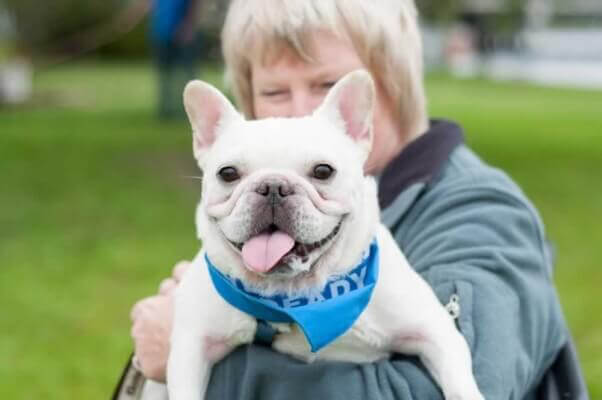 Meet Animals We Were Able to Help Because of Your Donations - PETA In ...